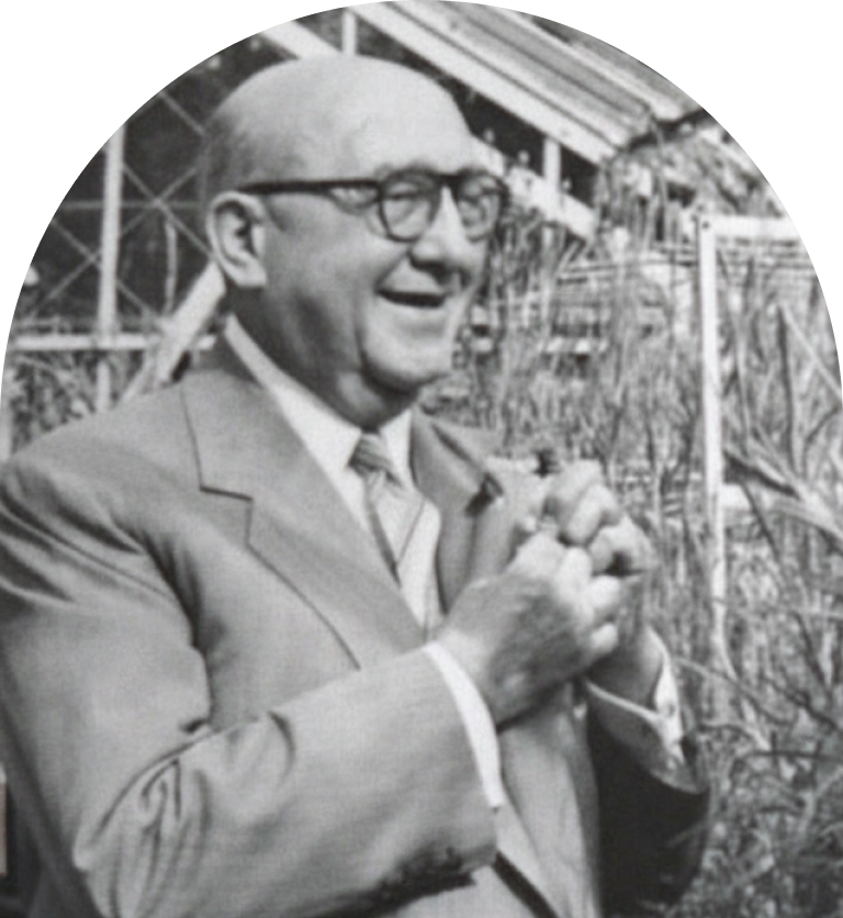 Home - The Albert M. Greenfield Foundation